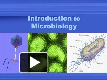 Introduction to Microbiology presentation | free to view