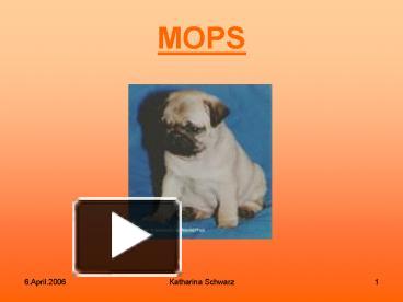 MOPS presentation | free to view
