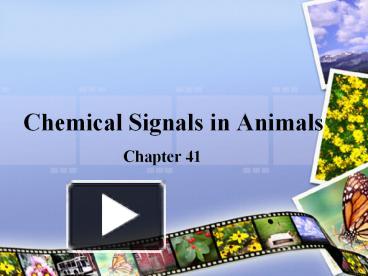 Chemical Signals in Animals presentation | free to download