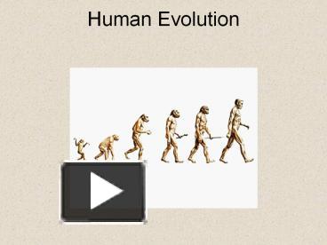 PPT – Human Evolution PowerPoint presentation | free to view - id ...