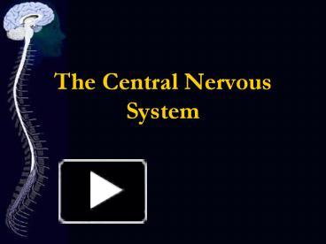 PPT – The Central Nervous System PowerPoint presentation | free to ...
