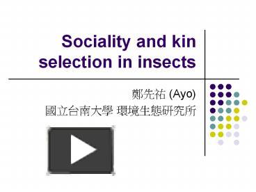PPT – Sociality and kin selection in insects PowerPoint presentation ...