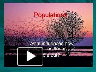PPT – Populations PowerPoint presentation | free to download - id ...