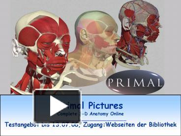 Primal Pictures presentation | free to view