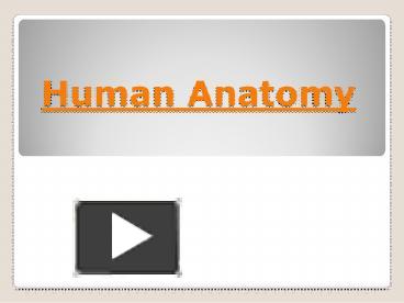 PPT – Human Anatomy PowerPoint presentation | free to view - id: 7e9555 ...