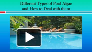 Different Types of Pool Algae and How to Deal with them presentation ...