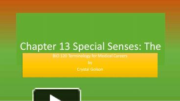 PPT – BIO 120 Chapter 13 Special Senses PowerPoint presentation | free ...