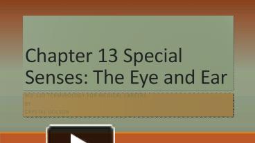 PPT – Chapter 13 Special Senses PowerPoint presentation | free to ...