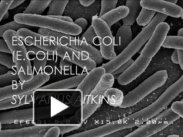 Escherichia coli presentation | free to download