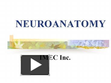 Complete Neuroanatomy for Medical Students and Chiropractic Students ...