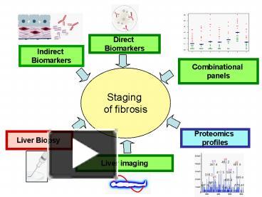 PPT – Staging PowerPoint presentation | free to download - id: 7eee74-ODg4M