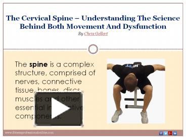 PPT – The Cervical Spine – Understanding The Science Behind Both ...
