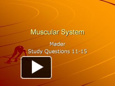 PPT – Muscular System PowerPoint presentation | free to download - id ...