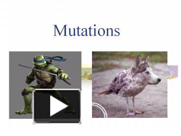 PPT – Mutations PowerPoint presentation | free to view - id: 7f58c5-M2IyZ