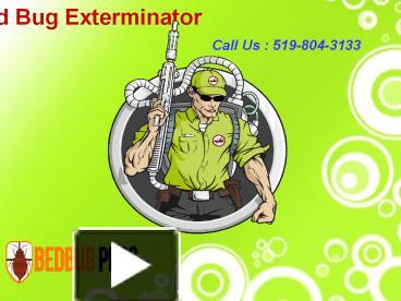 Bed Bugs Extermination Waterloo presentation | free to download