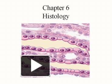 Chapter 6 Histology presentation | free to view