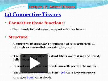 PPT – (3) Connective Tissues PowerPoint presentation | free to download ...