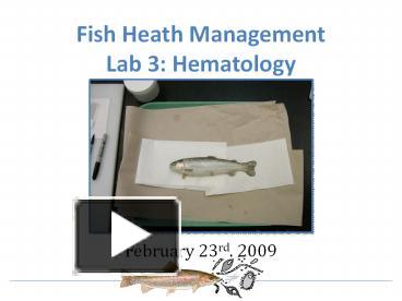 Fish Heath Management Lab 3: Hematology presentation | free to download