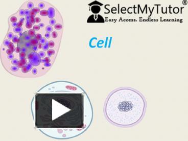 PPT – cell PowerPoint presentation | free to download - id: 7feb99-MGQ1N