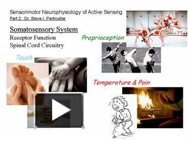 PPT – Part 2: Dr. Steve I. Perlmutter PowerPoint presentation | free to ...