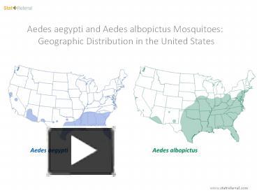 PPT – Aedes aegypti and Aedes albopictus Mosquitoes Geographic ...