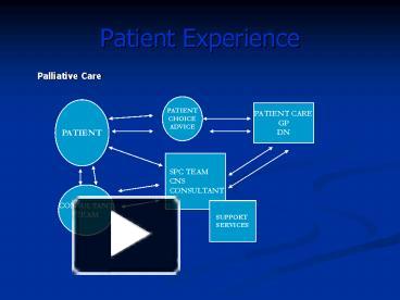 Patient Experience presentation | free to view