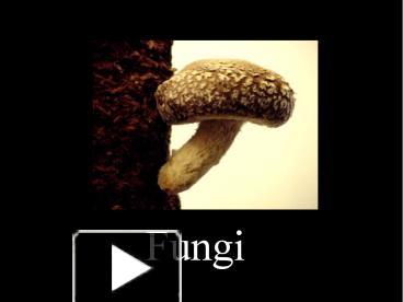 PPT – Fungi PowerPoint presentation | free to view - id: 80889f-ZTcwY