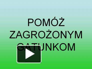 POM presentation | free to view