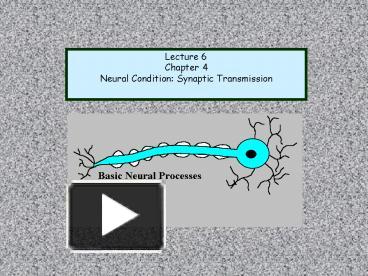 PPT – Neural Condition: Synaptic Transmission PowerPoint presentation ...