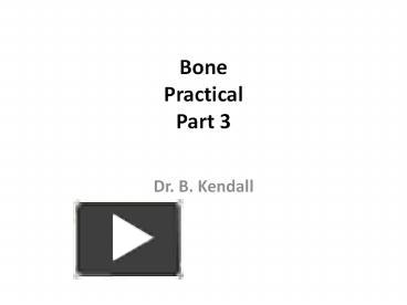 PPT – Bone Practical Part 3 PowerPoint presentation | free to view - id ...