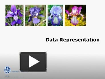 PPT – Data Representation PowerPoint presentation | free to download ...