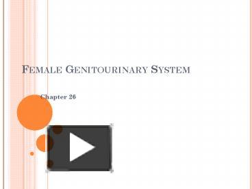 Female Genitourinary System presentation | free to download