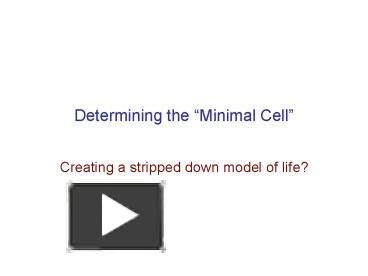 PPT – Determining the Minimal Cell PowerPoint presentation | free to ...