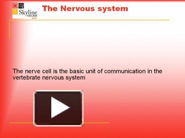 PPT – The Nervous system PowerPoint presentation | free to download ...