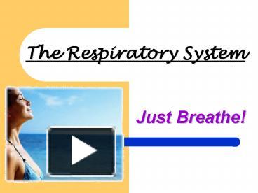 The Respiratory System presentation | free to download