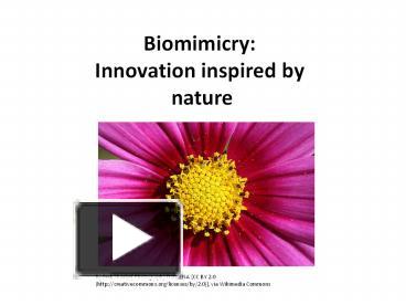 Biomimicry: Innovation inspired by nature presentation | free to view
