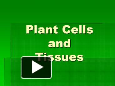 Plant Cells and Tissues presentation | free to download