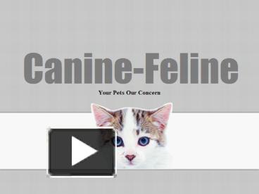 PPT – Canine-feline - Claw Caps For Cats PowerPoint presentation | free ...