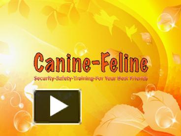 PPT – Canine Feline Pet Products | UK PowerPoint presentation | free to ...