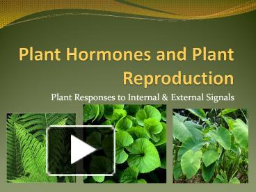 Plant Hormones and Plant Reproduction presentation | free to download