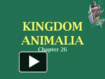 PPT – KINGDOM ANIMALIA PowerPoint presentation | free to view - id ...