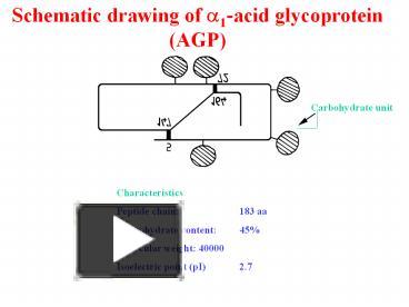 PPT – Schematic drawing of a1-acid glycoprotein (AGP) PowerPoint ...