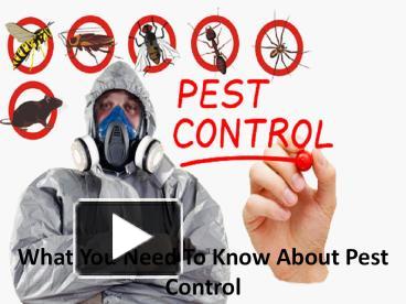 PPT – What You Need To Know About Pest Control PowerPoint presentation ...