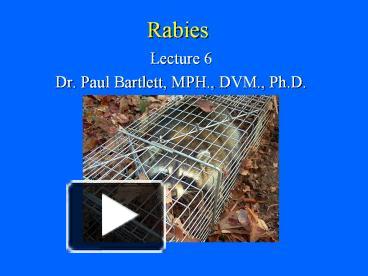 PPT – Rabies PowerPoint presentation | free to download - id: 82c600-MDE5Z