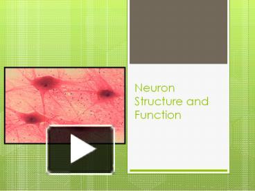 Neuron Structure and Function presentation | free to view