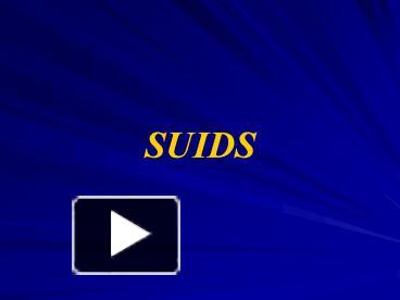 PPT – SUIDS PowerPoint presentation | free to view - id: 82efb4-NWVkN