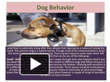 Dog Behavior: How Do Dogs Communicate? presentation | free to download