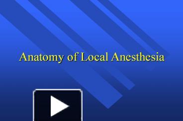 PPT – Anatomy of Local Anesthesia PowerPoint presentation | free to ...