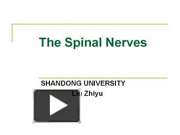 The Spinal Nerves presentation | free to view