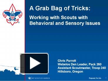 PPT – A Grab Bag of Tricks: PowerPoint presentation | free to download ...
